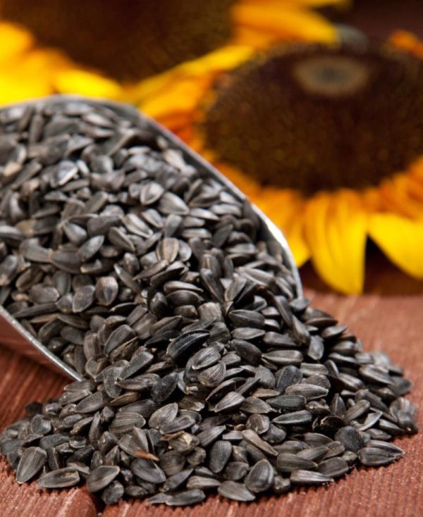 Semințe negre de floarea soarelui fără sare - Semințe Shampion
